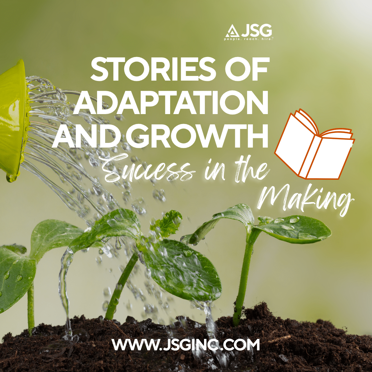 Success in the Making: Stories of Adaptation and Growth - Johnson ...